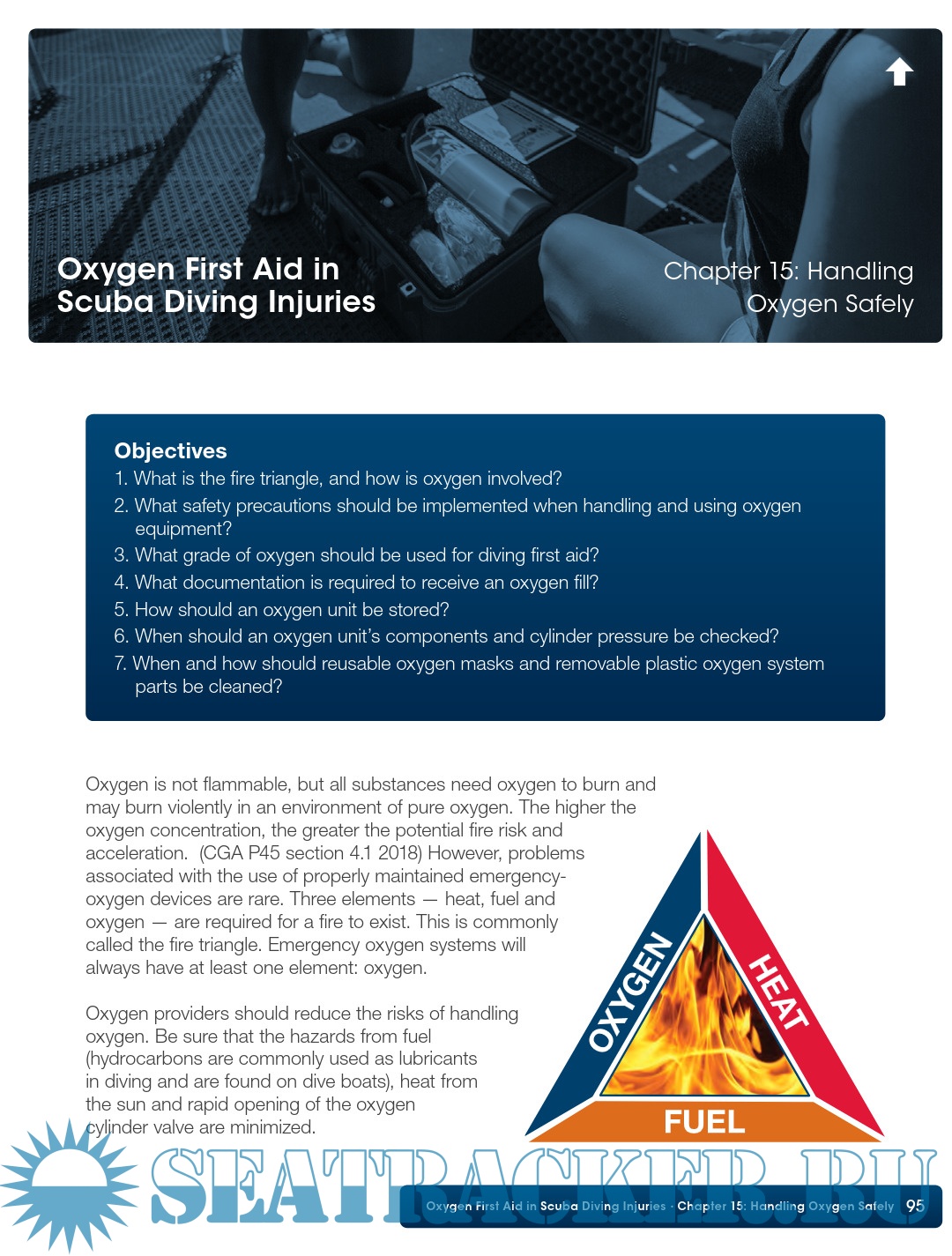 Diving First Aid for Professional Divers - Brownell B. [2021, PDF ...