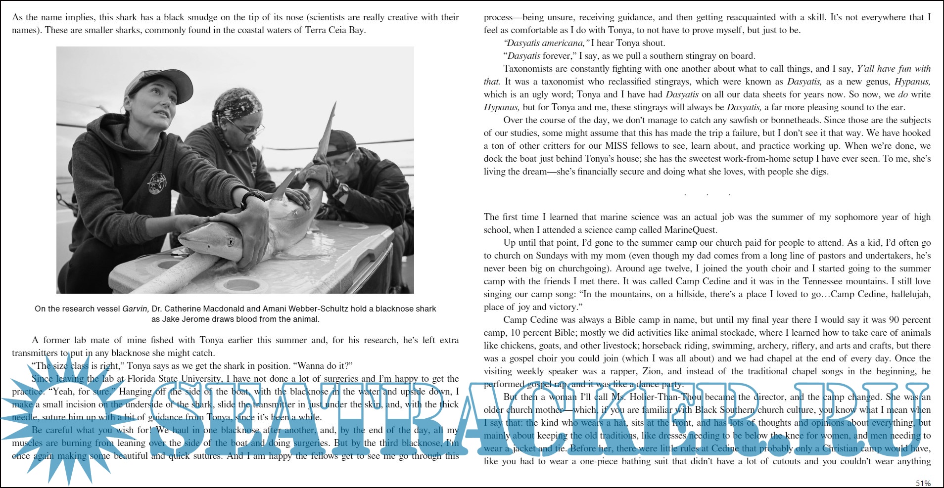 Sharks Don't Sink: Adventures of a Rogue Shark Scientist - Jasmin ...