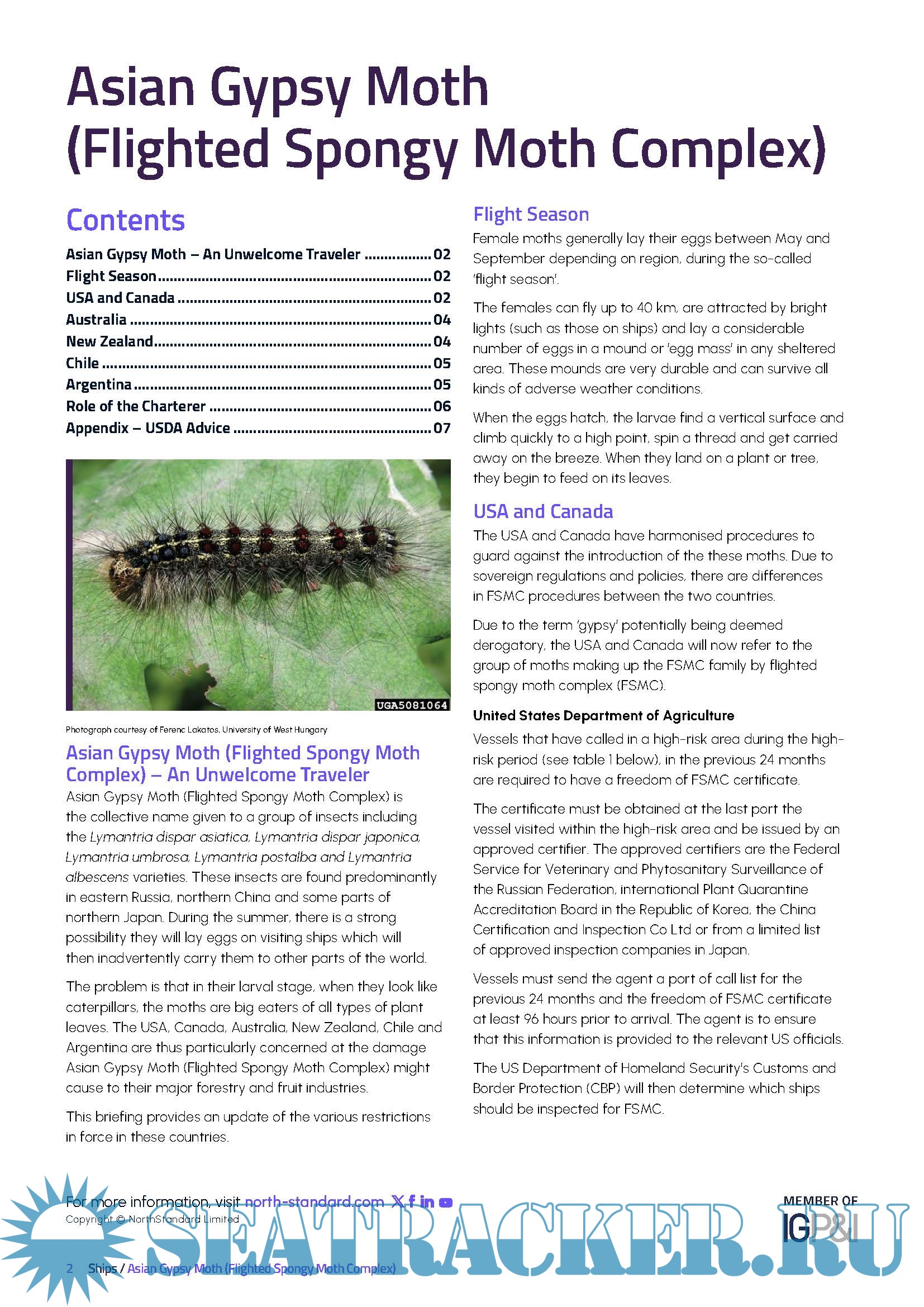 Asian Gypsy Moth | Flighted Spongy Moth Complex - NorthStandard [2024 ...