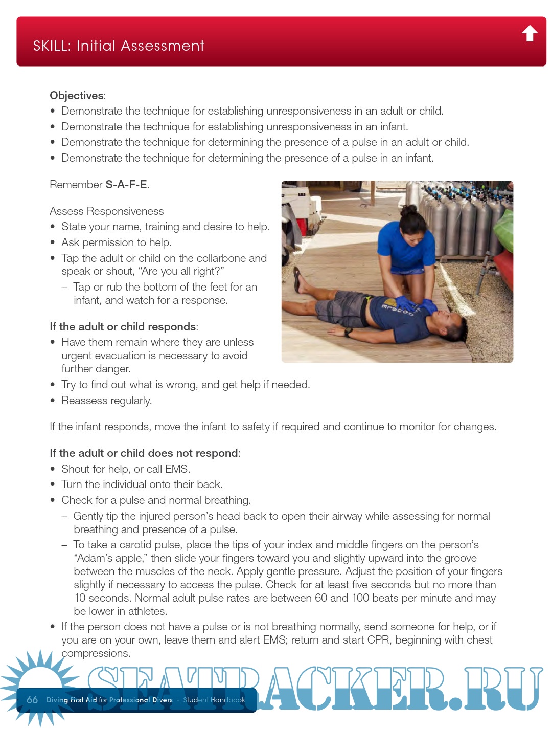 Diving First Aid for Professional Divers - Brownell B. [2021, PDF ...