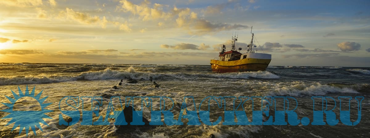 seatracker – Telegram