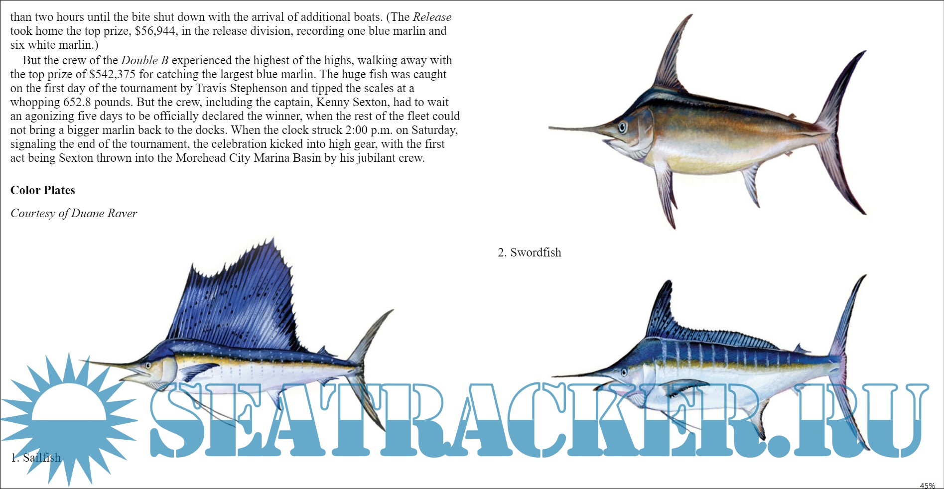 The Billfish Story: Swordfish, Sailfish, Marlin, and Other Gladiators ...