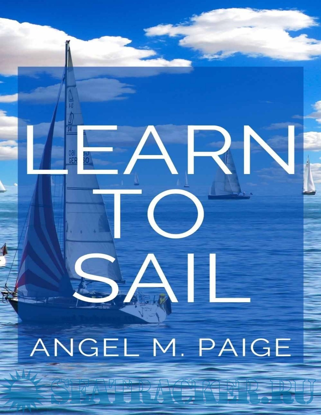 Learn To Sail: Master The Act Of Sailing - Angel M. Paige [2021, PDF ...