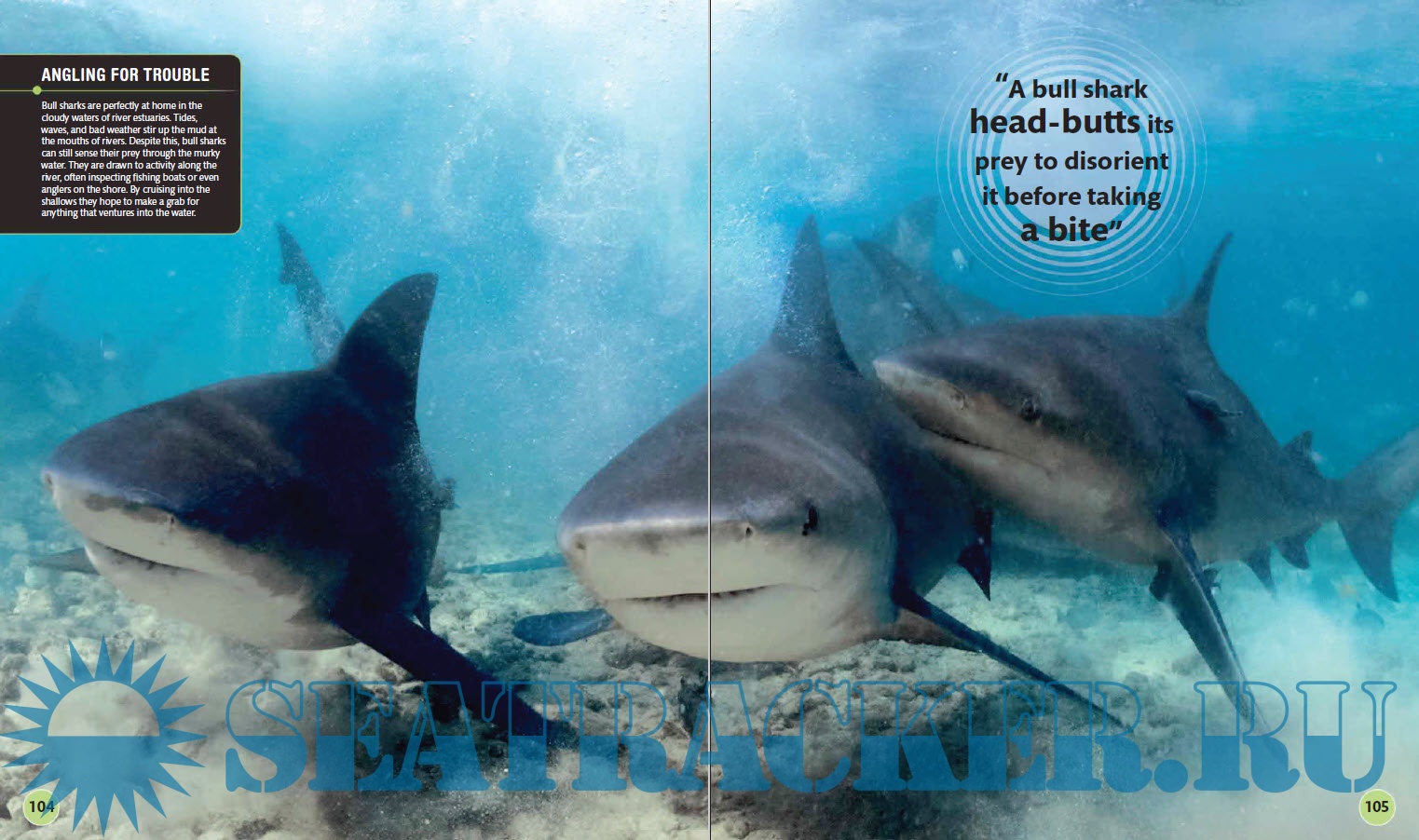 Super Shark Encyclopedia: And Other Creatures of the Deep - DK [2015 ...